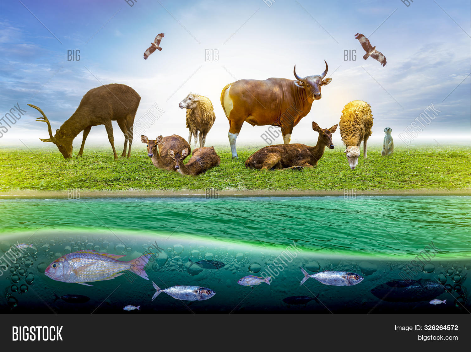 Wildlife Conservation Image & Photo (Free Trial) | Bigstock