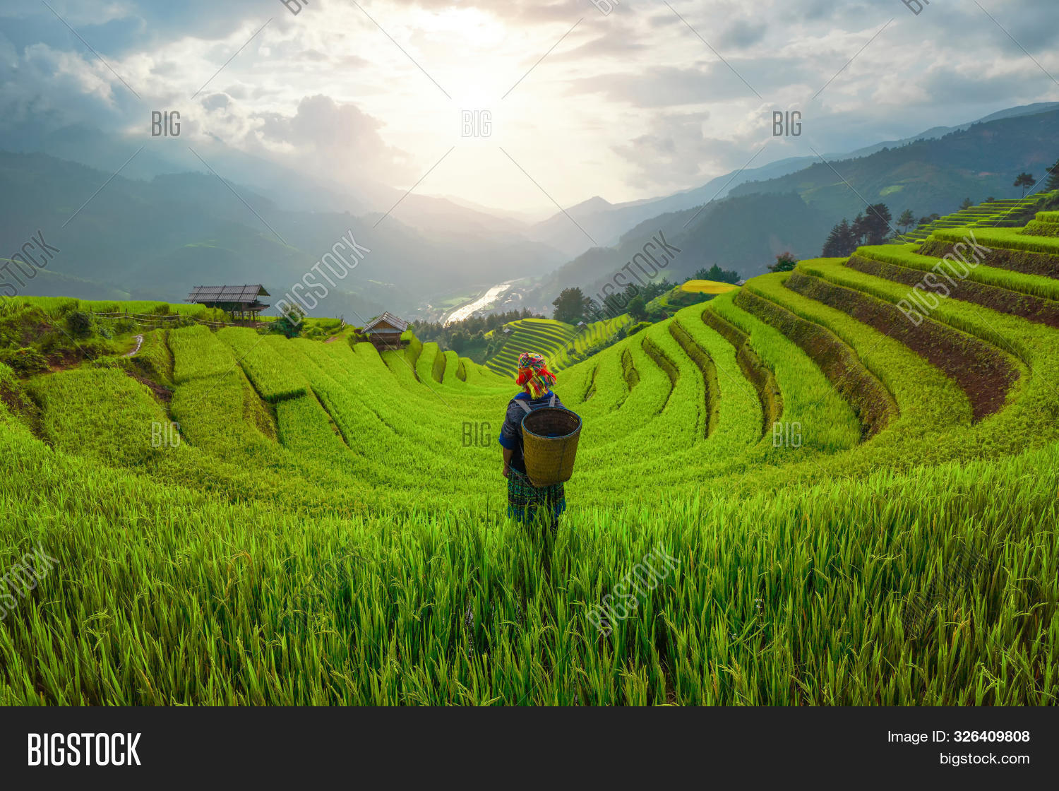 Tribal Woman, Farmer, Image & Photo (Free Trial) | Bigstock