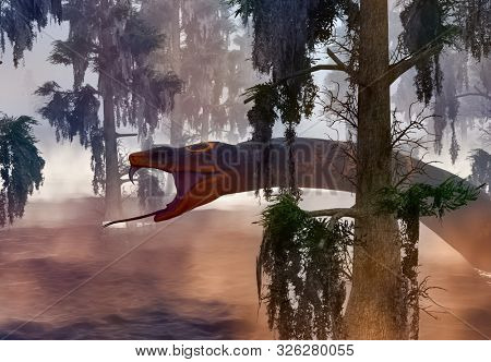 Snake Swamp Grown Bald Image & Photo (Free Trial) | Bigstock