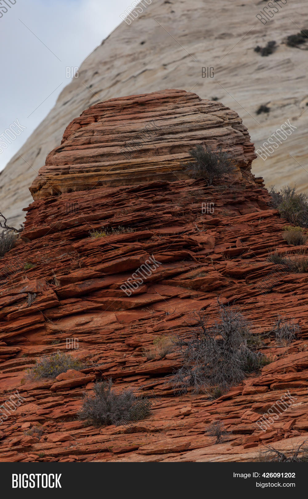 Ancient Sediment Image & Photo (Free Trial) | Bigstock