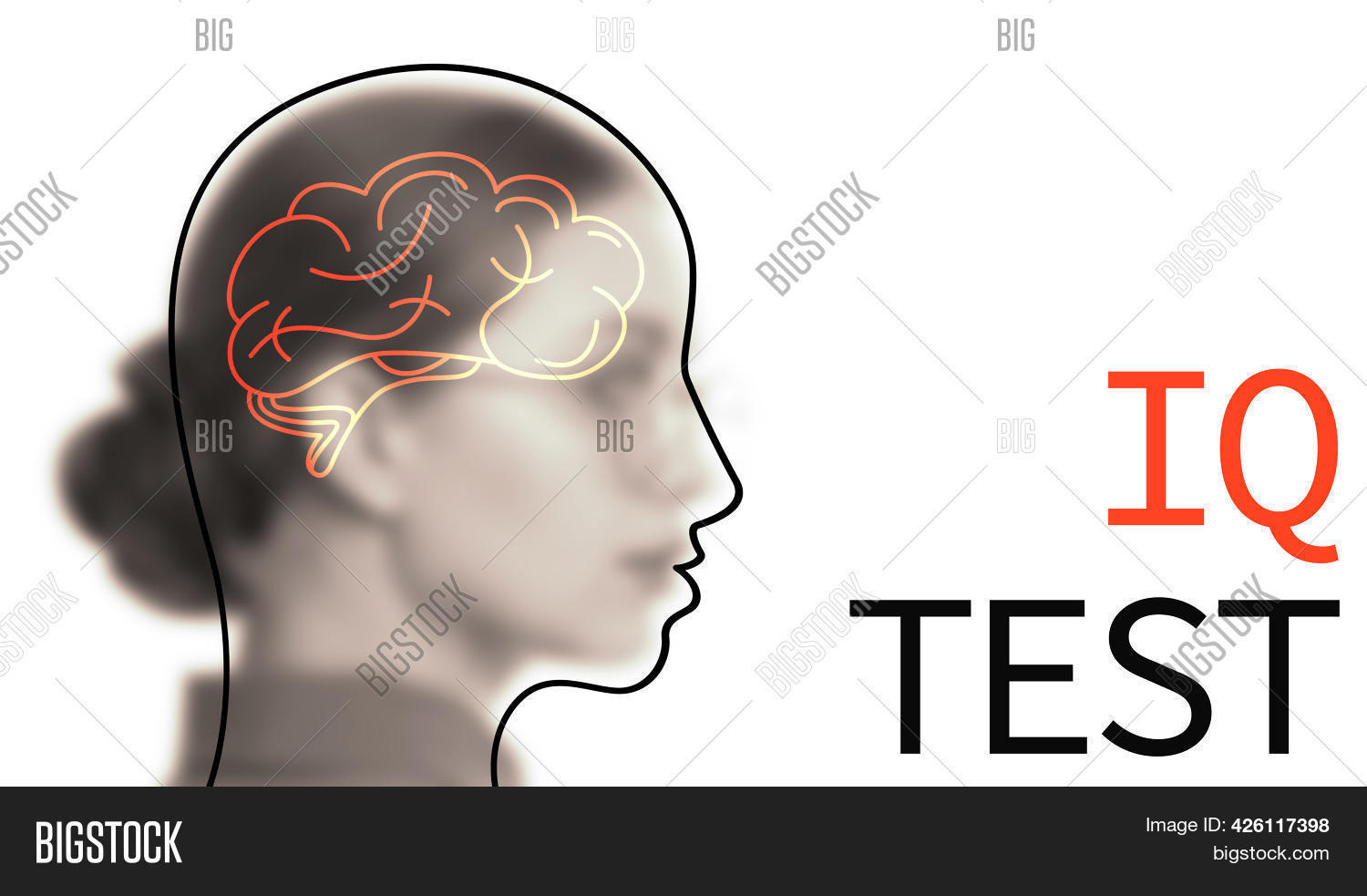 Illustrated Head Brain Image & Photo (Free Trial) | Bigstock