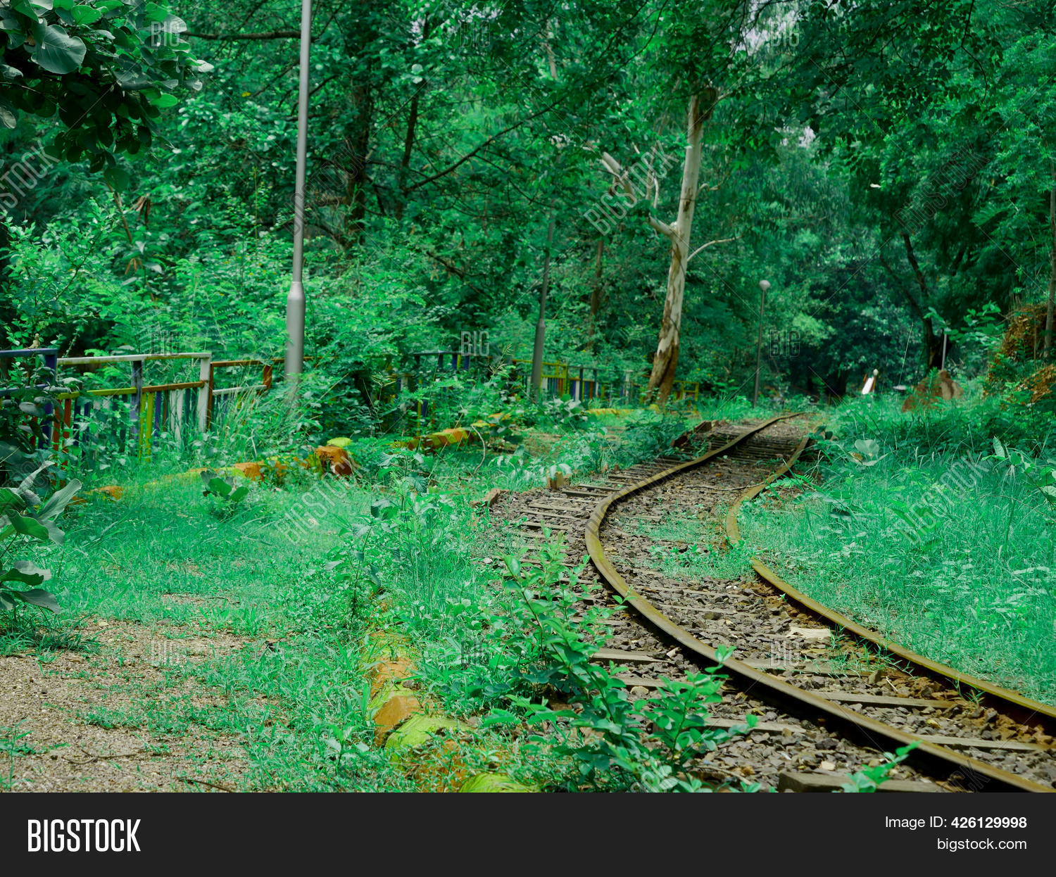 Kids Train Root Case Image & Photo (Free Trial) | Bigstock