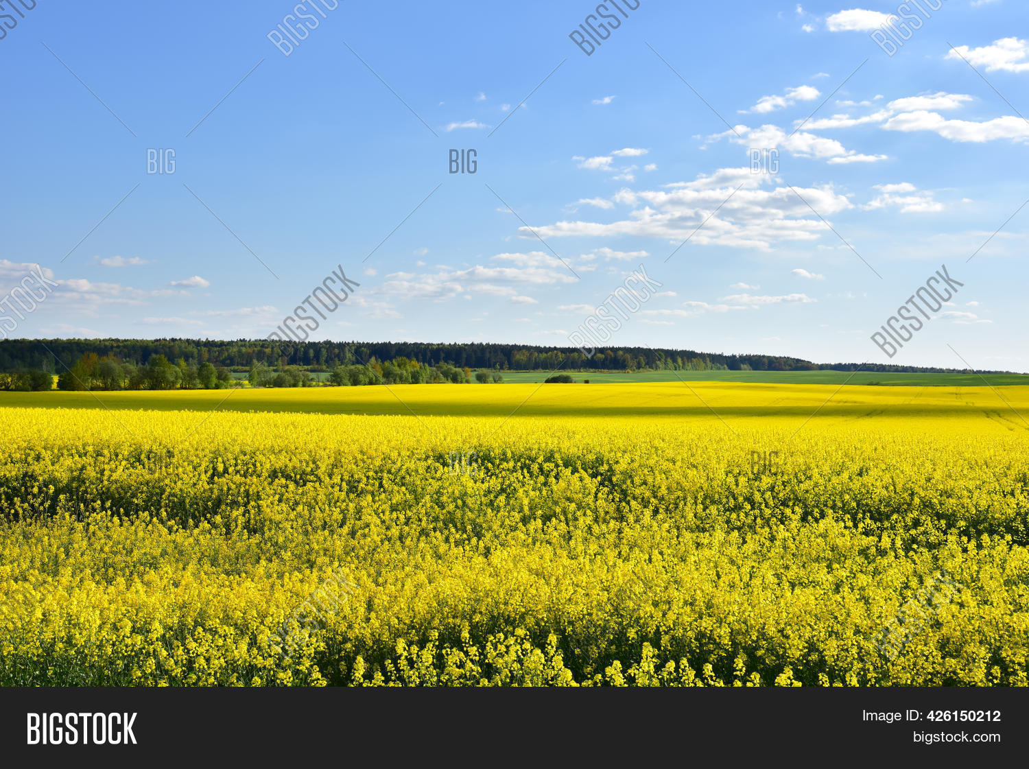 Countryside Yellow Image & Photo (Free Trial) | Bigstock