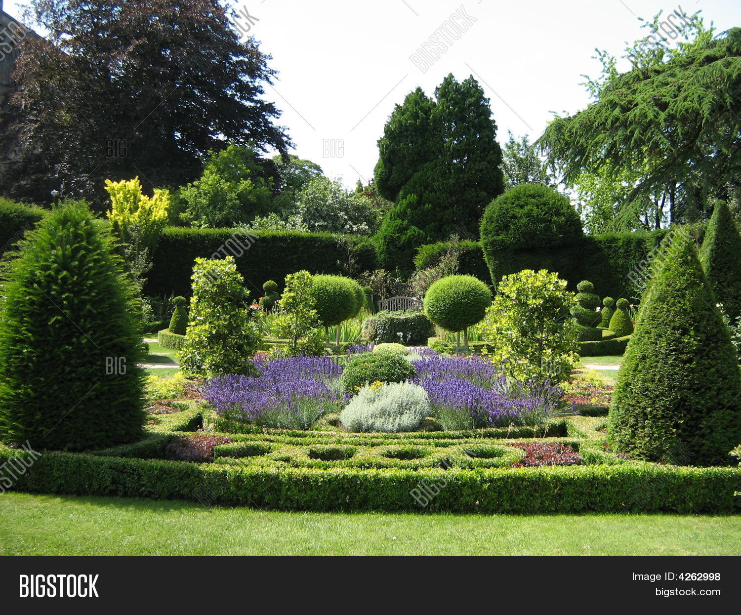 Topiary. Box Hedge. Image & Photo (Free Trial) | Bigstock