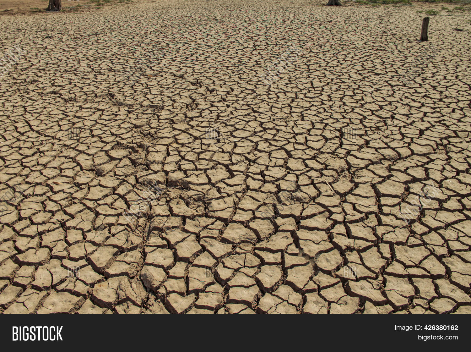 Drought Land Texture Image & Photo (Free Trial) | Bigstock