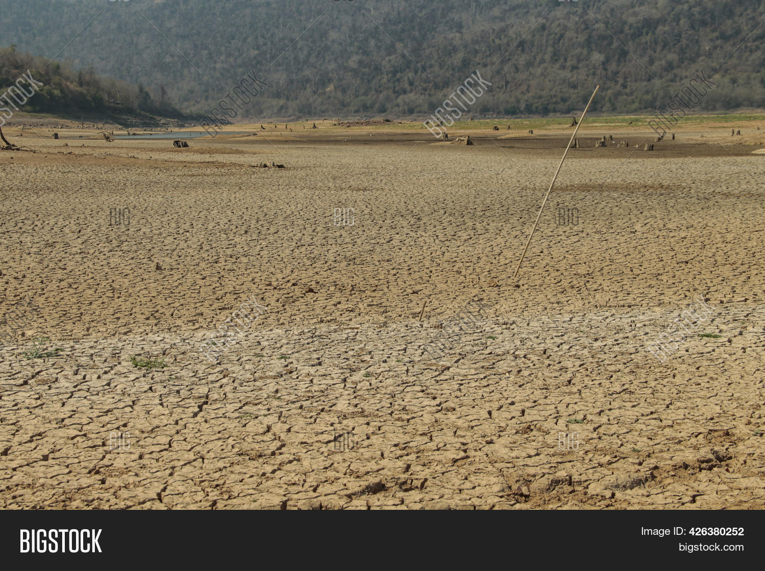 Drought Land Texture Image & Photo (Free Trial) | Bigstock