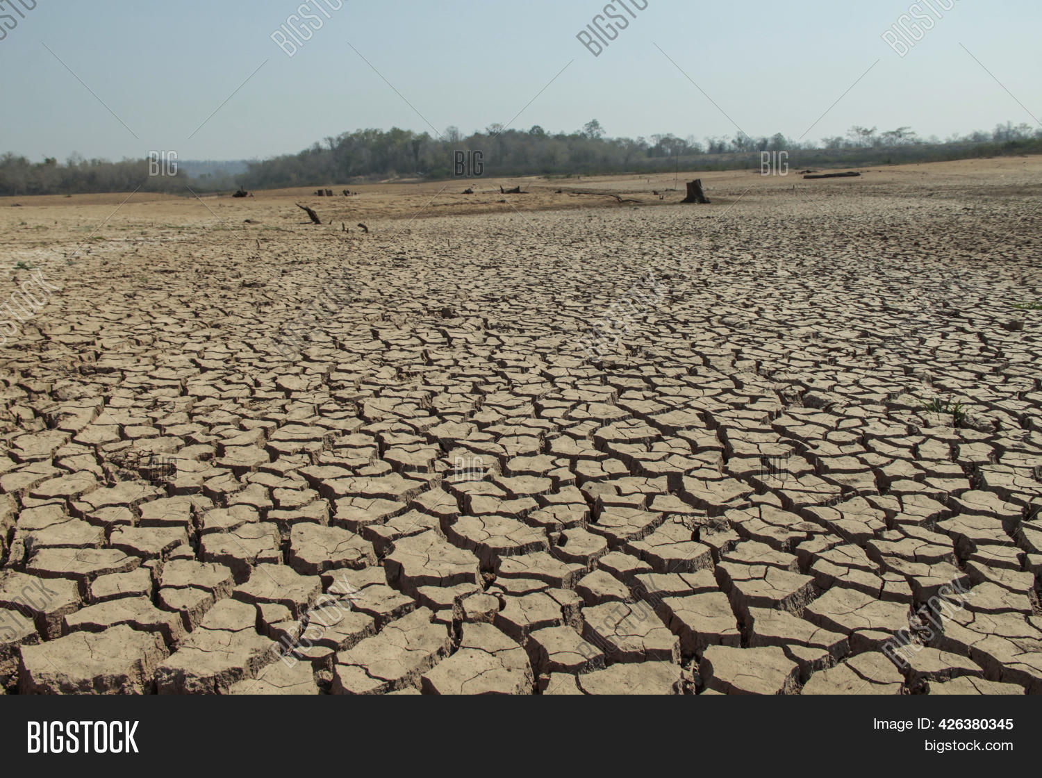 Drought Land Texture Image & Photo (Free Trial) | Bigstock
