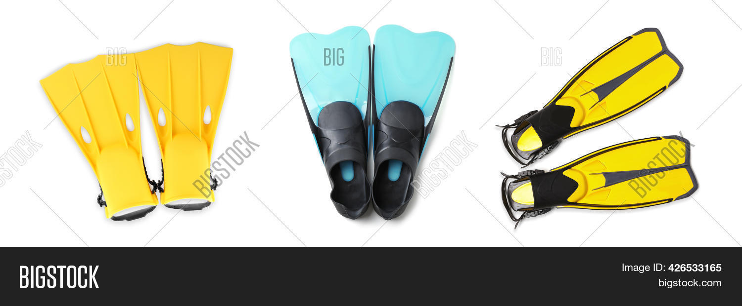Set Different Flippers Image & Photo (Free Trial) | Bigstock