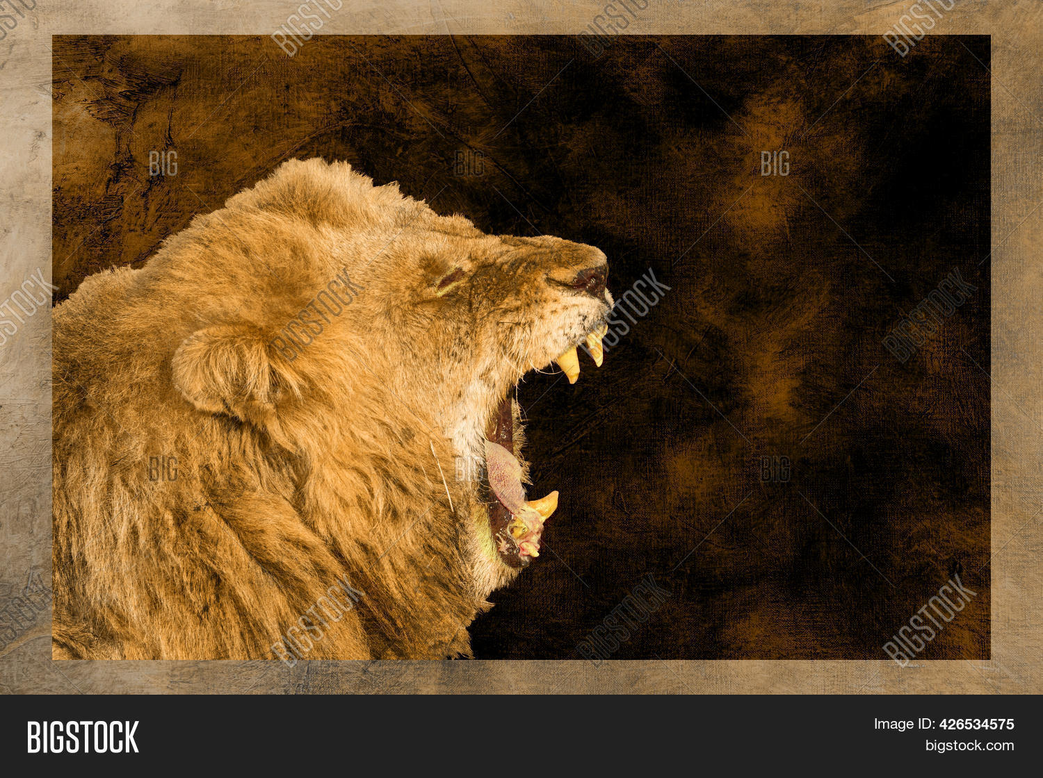 African Lion Multiple Image & Photo (Free Trial) | Bigstock
