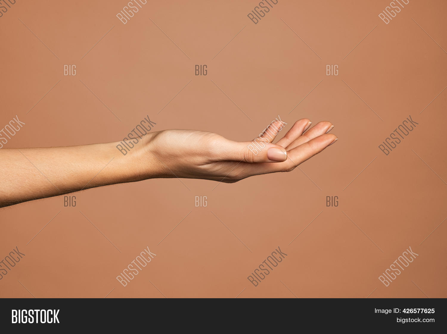 Beautiful Woman Hand Image & Photo (Free Trial) | Bigstock