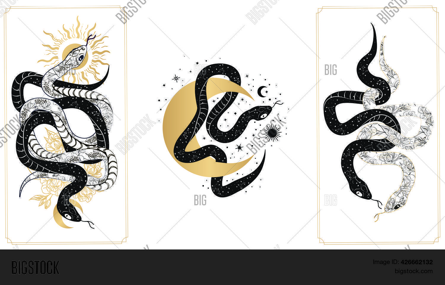 Magical Snakes Tarot Vector & Photo (Free Trial) | Bigstock