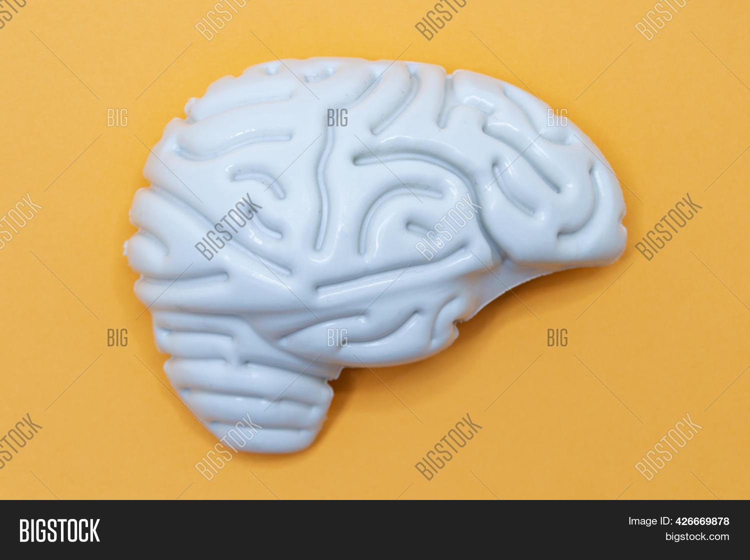 Plastic Brain Space Image & Photo (Free Trial) | Bigstock