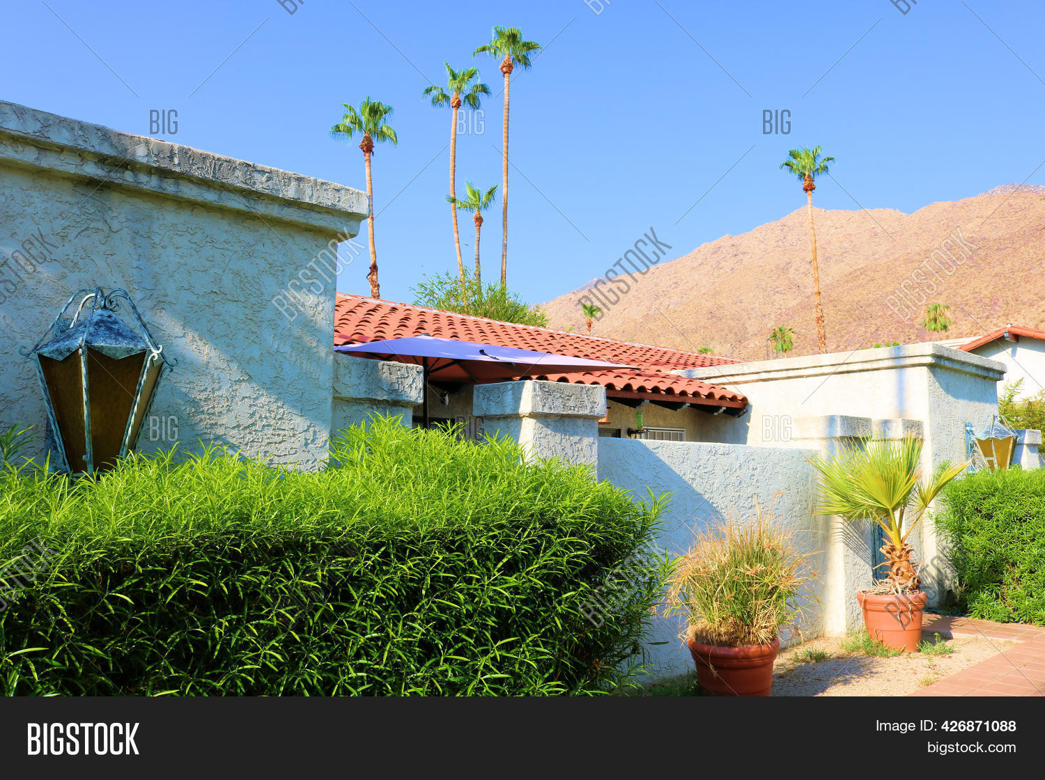 Manicured Plants Palm Image & Photo (Free Trial) | Bigstock