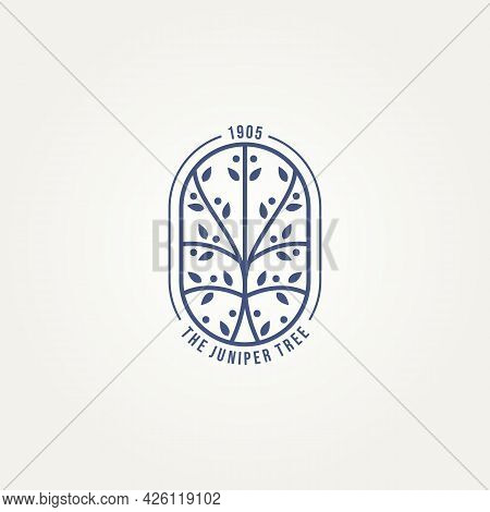 Juniper Tree Vector & Photo (Free Trial) | Bigstock
