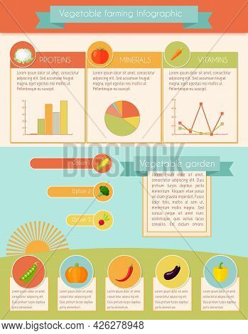 Vegetables Garden Vector & Photo (Free Trial) | Bigstock