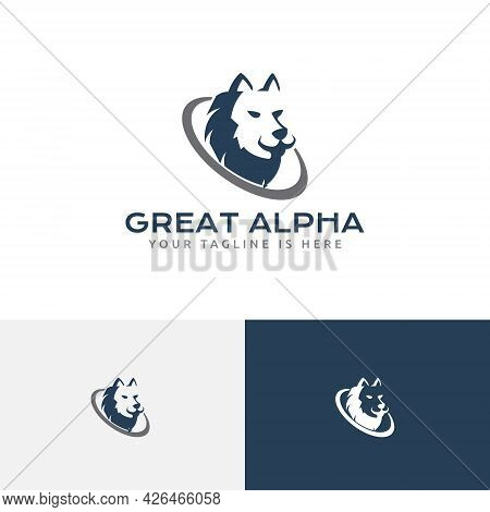 Alpha Wolf Images, Illustrations & Vectors (Free) - Bigstock