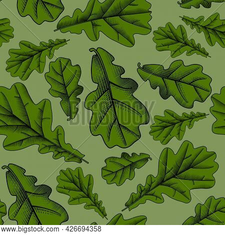 Green oak leaves seamless pattern. Vintage color engraving stylized drawing. - Stock Image ...
