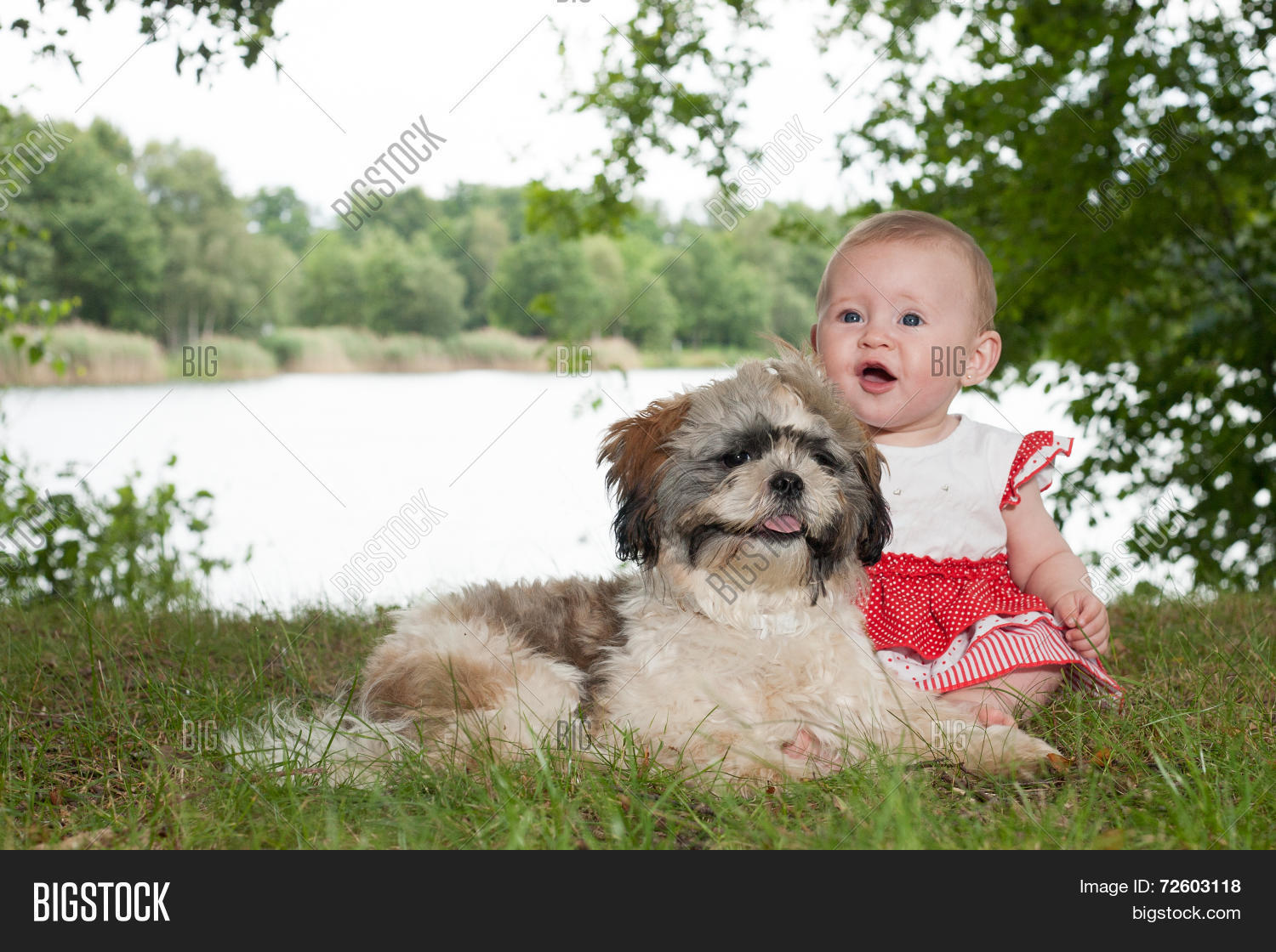 Baby Puppy Nature Image & Photo (Free Trial) | Bigstock