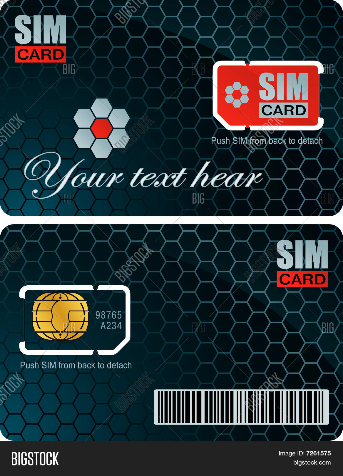 Sim Card Carrier Vector & Photo (Free Trial) | Bigstock