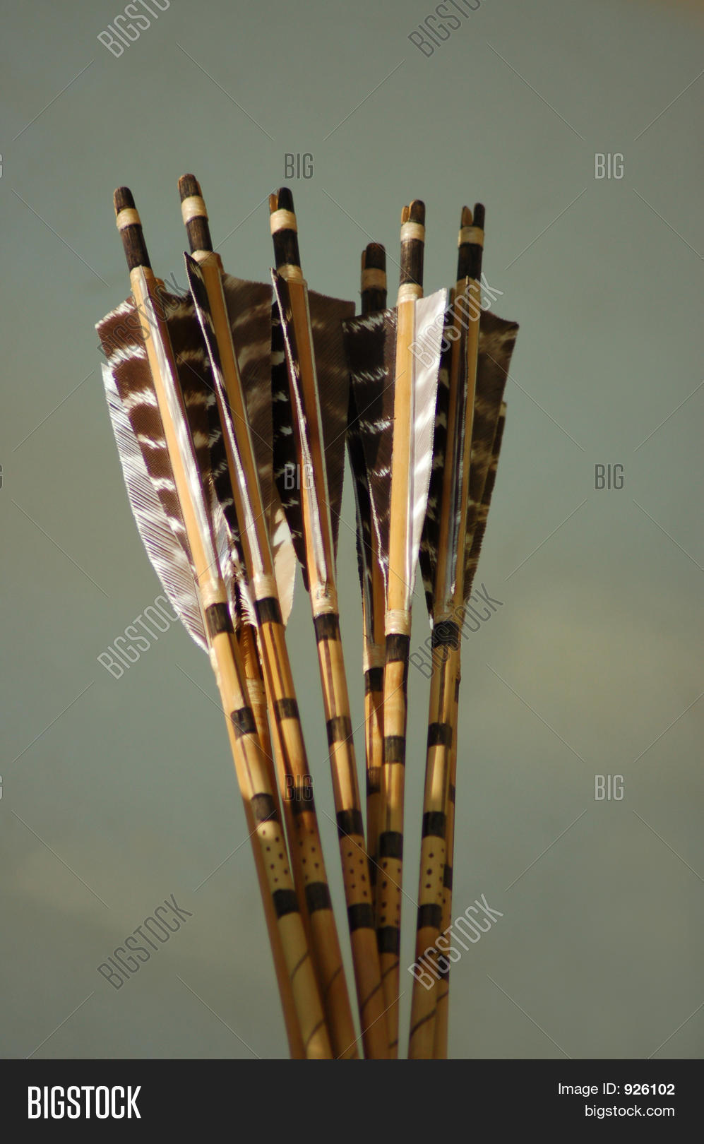 Native American Arrows Image & Photo (Free Trial) | Bigstock