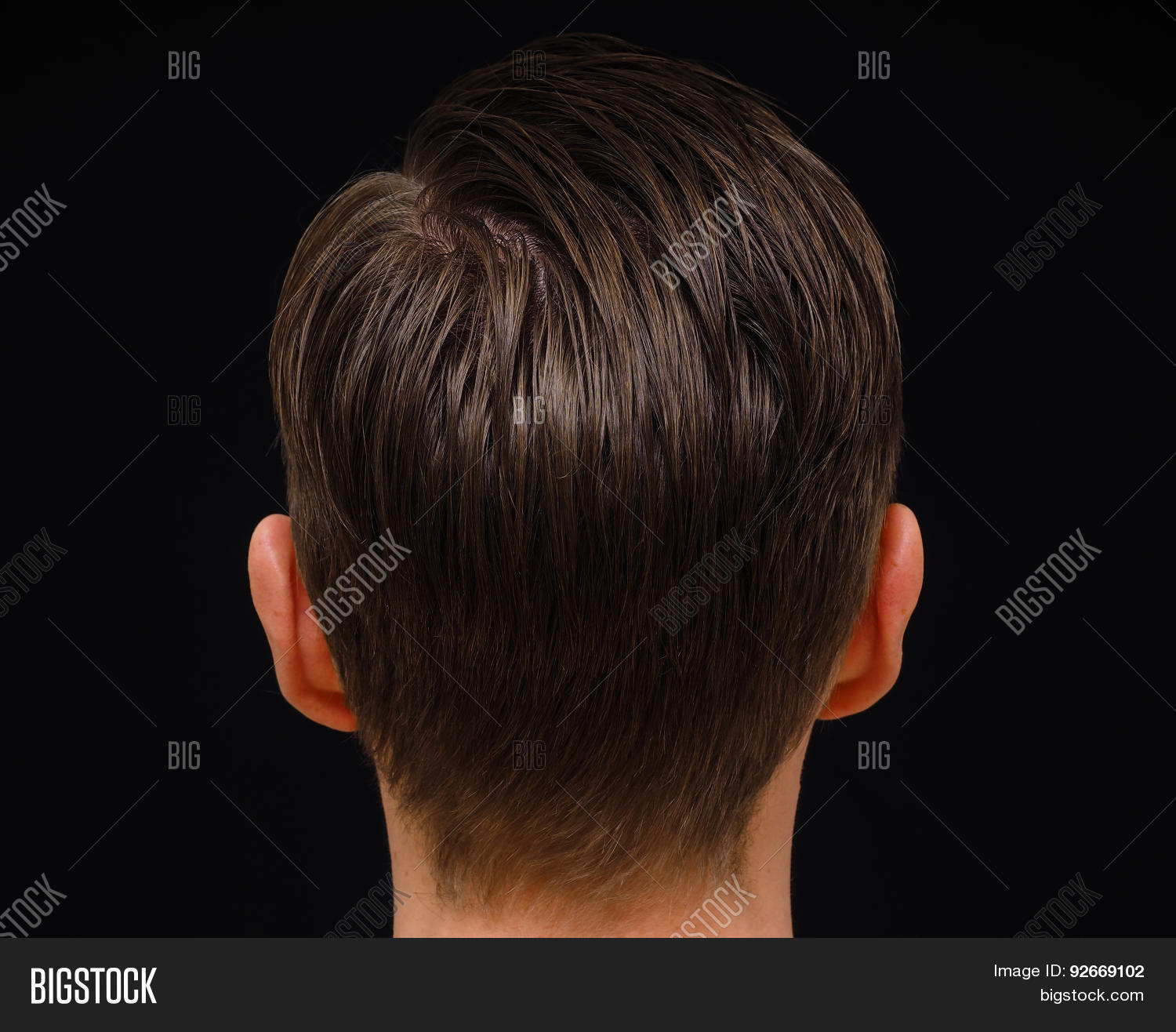Rear View Hairstyle On Image & Photo (Free Trial) | Bigstock