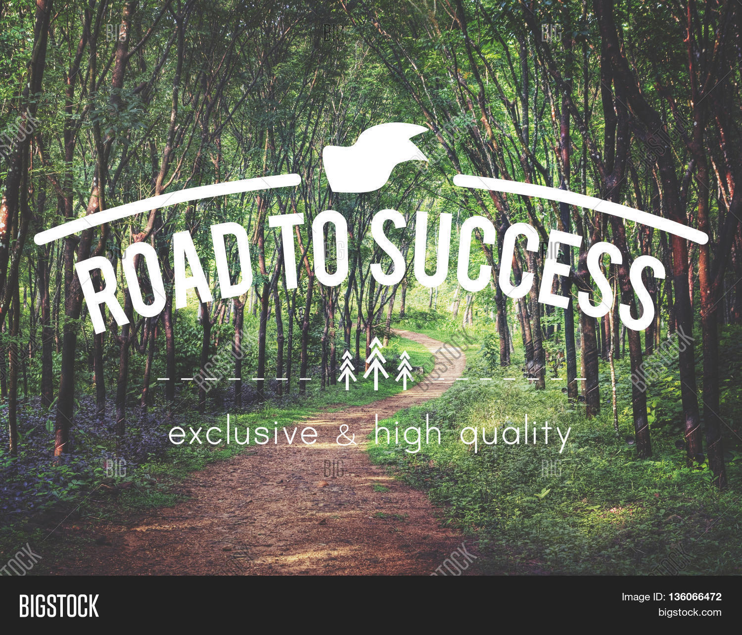 Success Achievement Image & Photo (Free Trial) | Bigstock