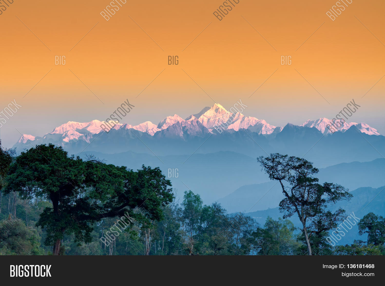 Beautiful View Tress Image & Photo (Free Trial) | Bigstock