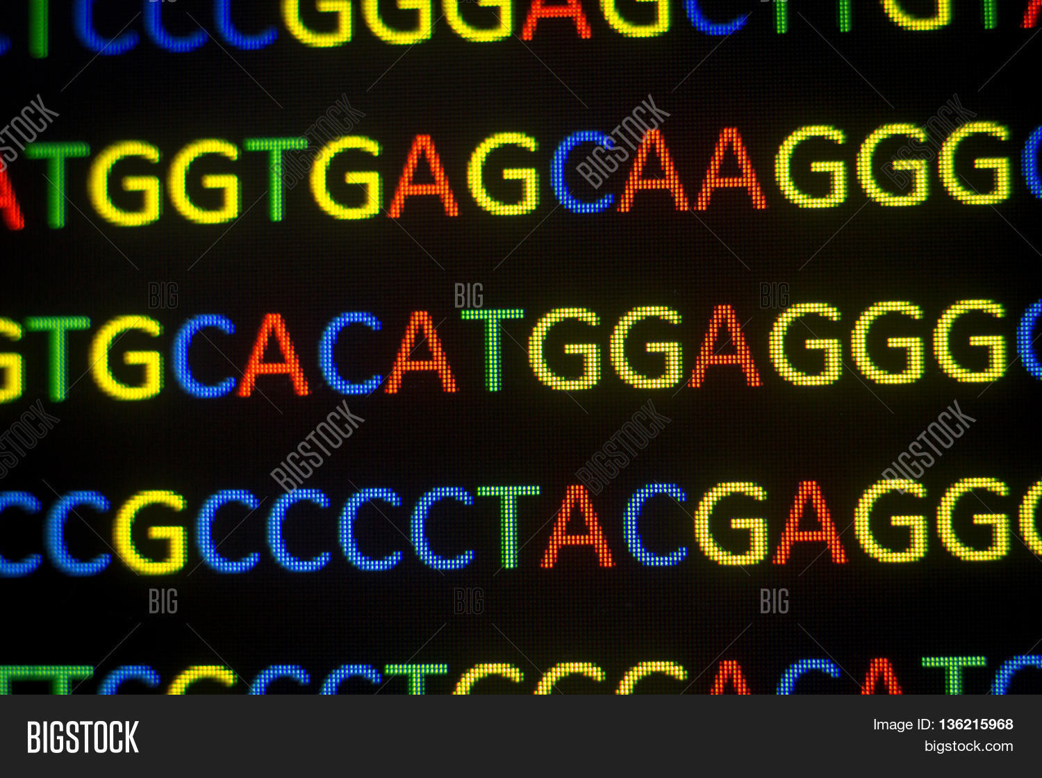 Dna Sequence Colored Image & Photo (Free Trial) | Bigstock