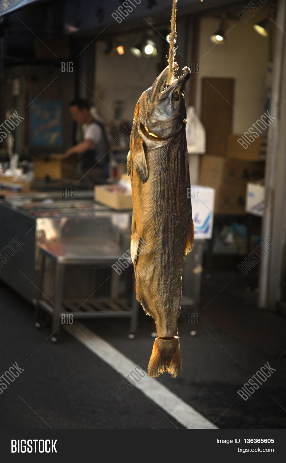 Salmon Fish Tied By Image & Photo (Free Trial) | Bigstock