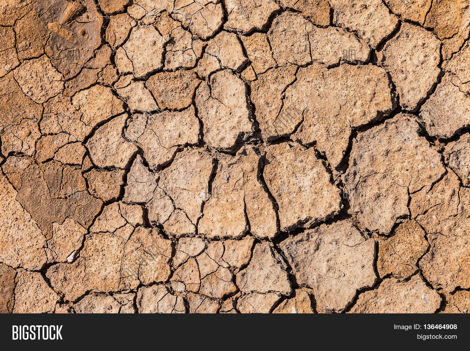 Cracked Ground Texture Image & Photo (Free Trial) | Bigstock
