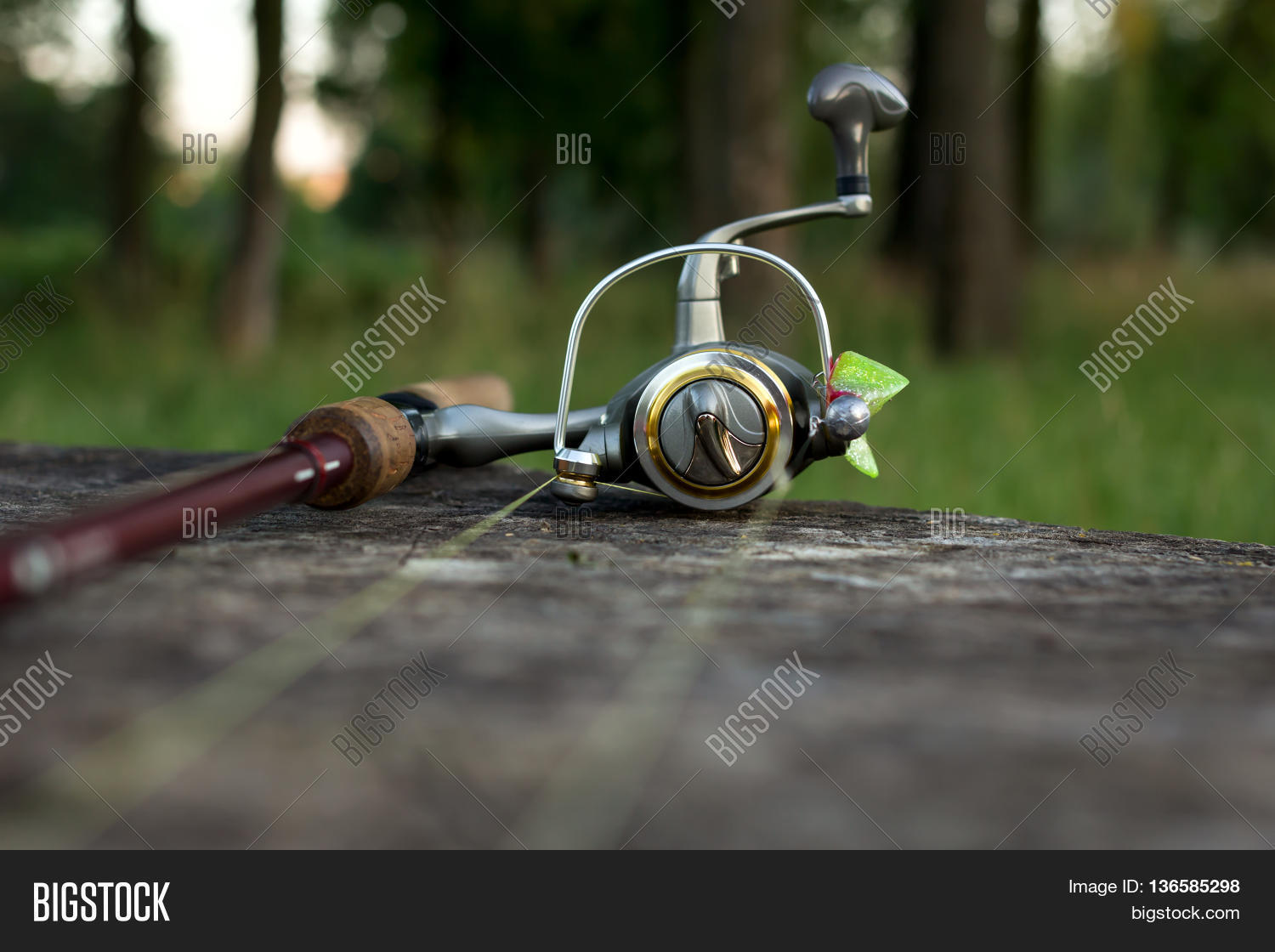 Fishing Lure, Rod Reel Image & Photo (Free Trial) | Bigstock