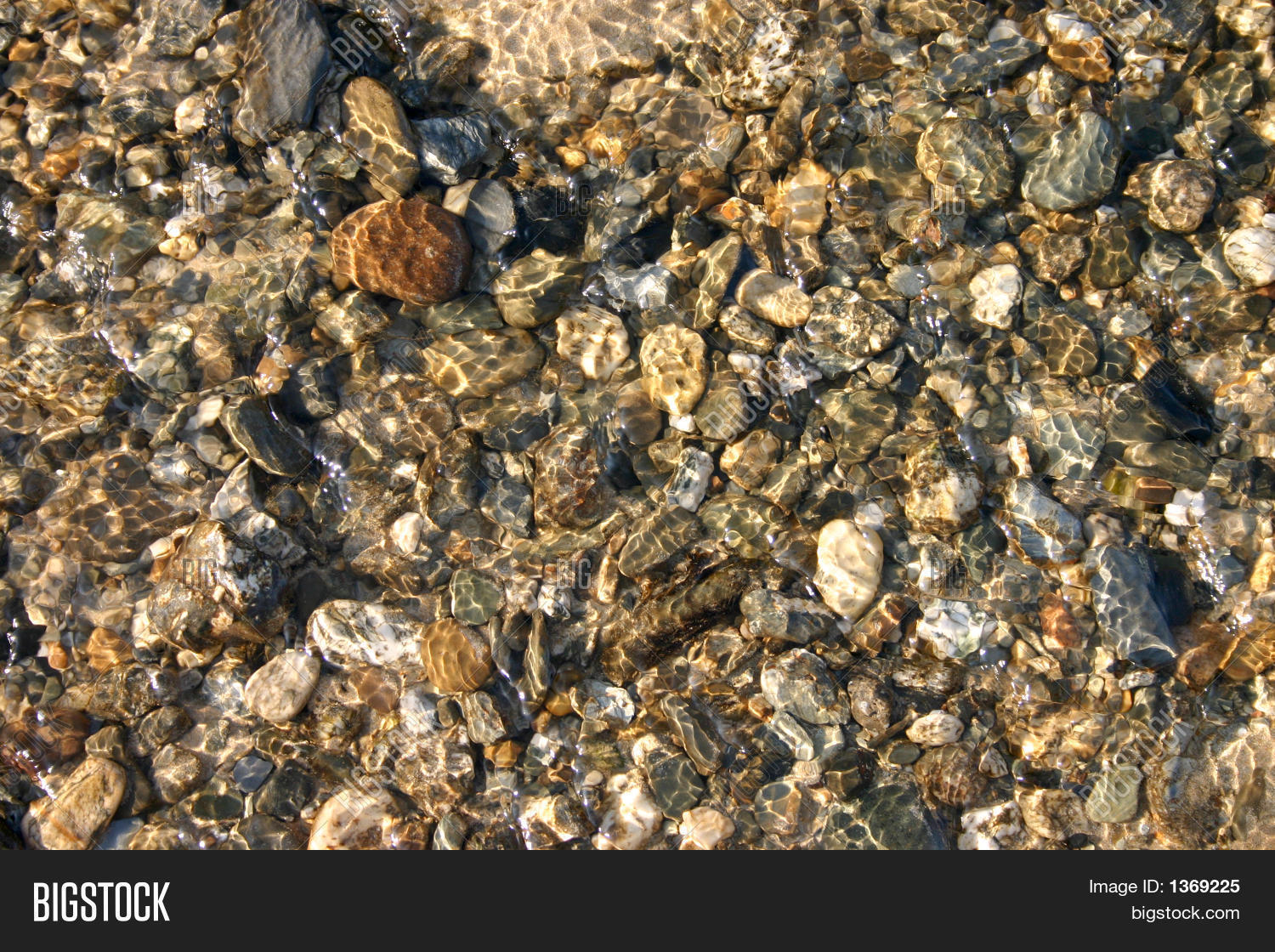 Pebbles Bottom Stream Image & Photo (Free Trial) | Bigstock