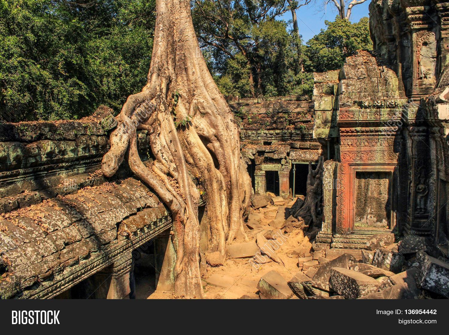 Temple Ruins Overgrown Image & Photo (Free Trial) | Bigstock