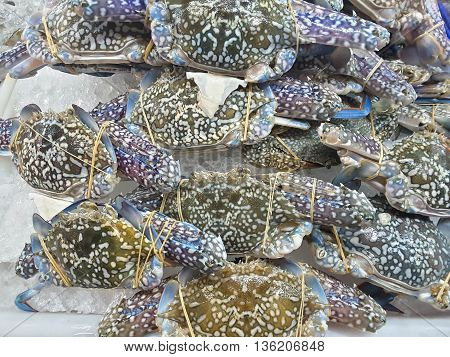 Crabs Raw Fresh Image & Photo (Free Trial) | Bigstock