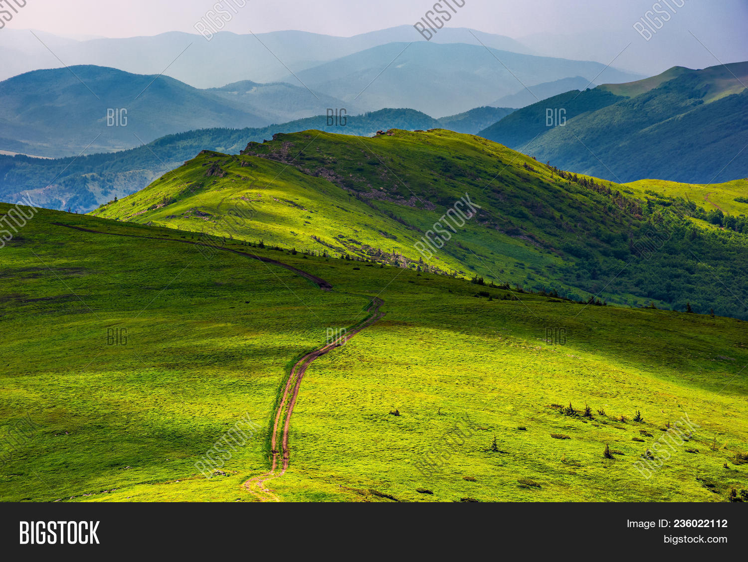 Path Through Grassy Image & Photo (Free Trial) | Bigstock