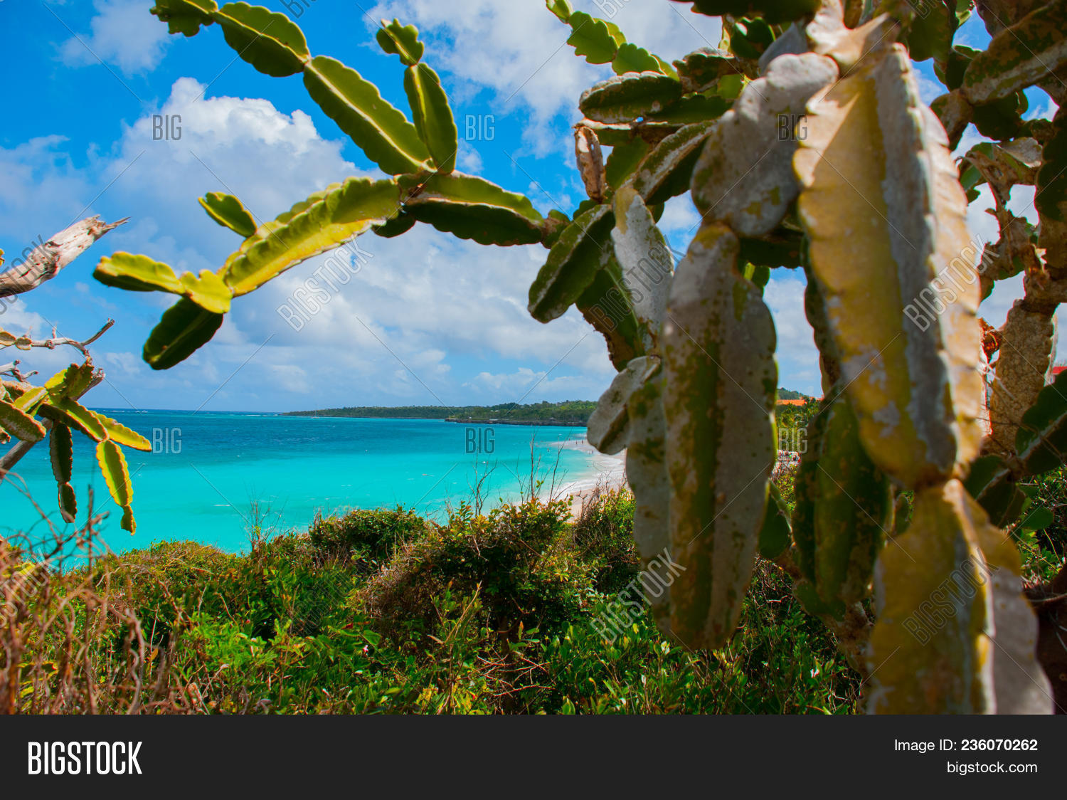 Beautiful Beach Bay Image & Photo (Free Trial) | Bigstock