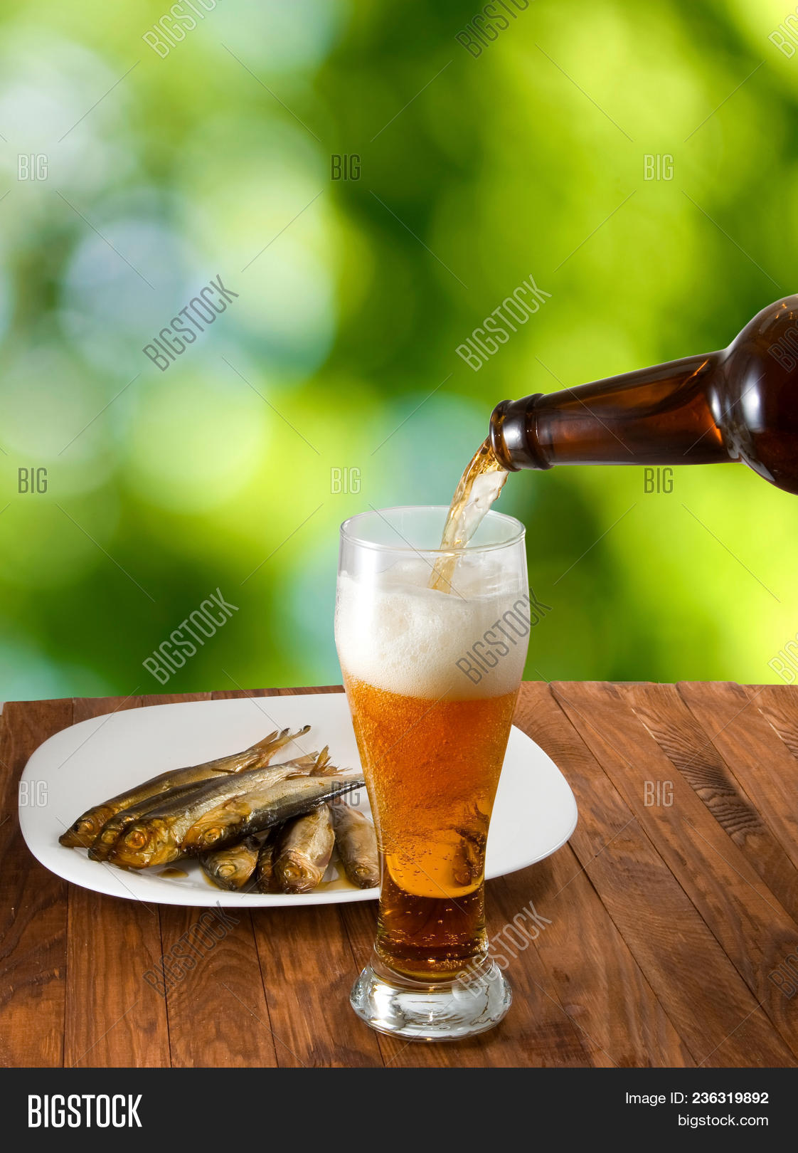 Beer Fish On Green Image & Photo (Free Trial) | Bigstock