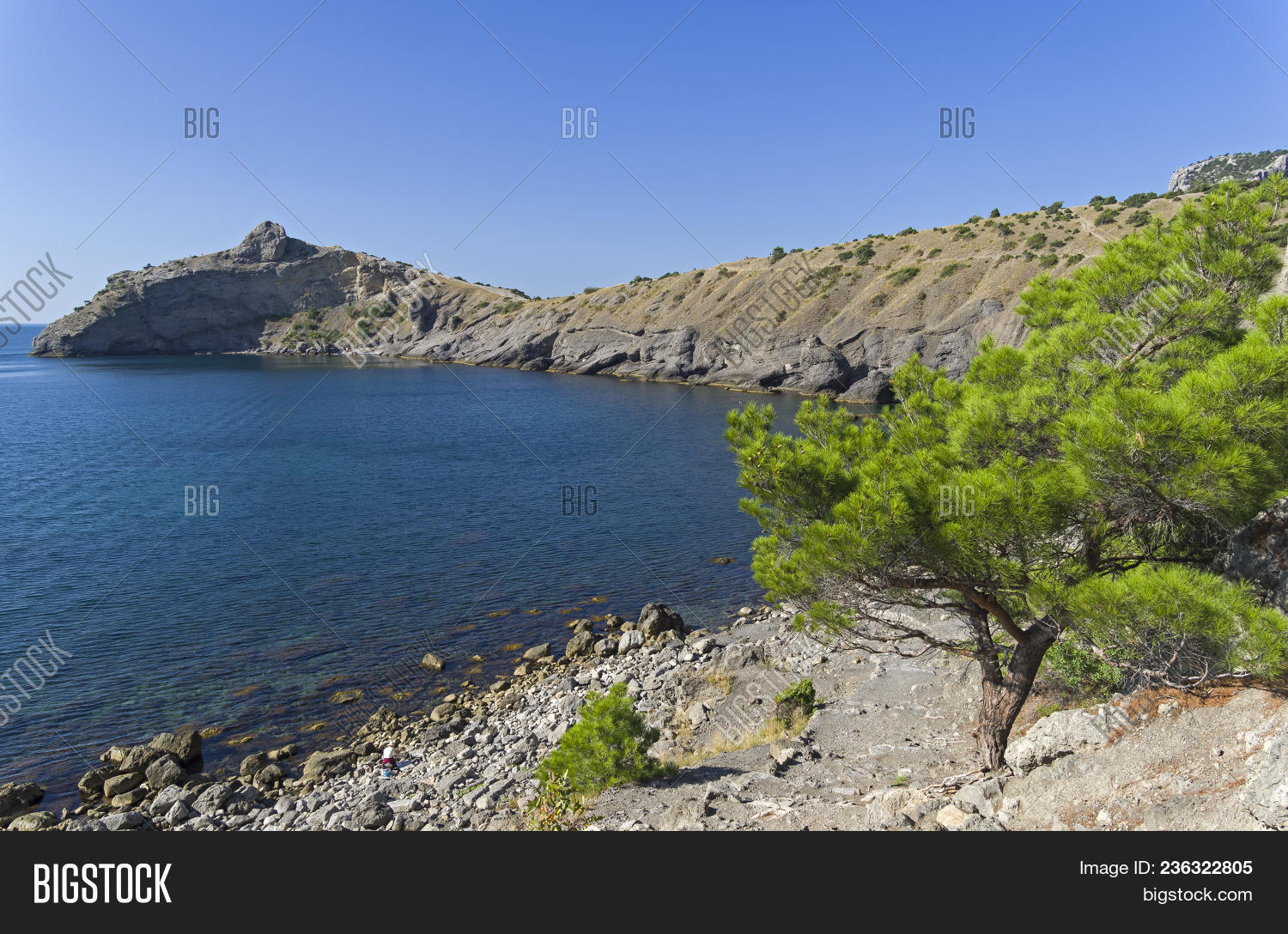 Cape Kapchik, View Image & Photo (Free Trial) | Bigstock