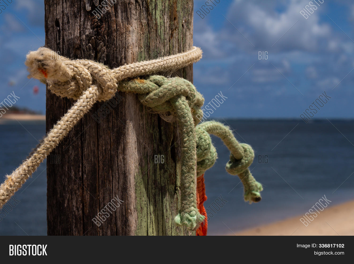 Colored Ropes Knotted Image & Photo (Free Trial) | Bigstock