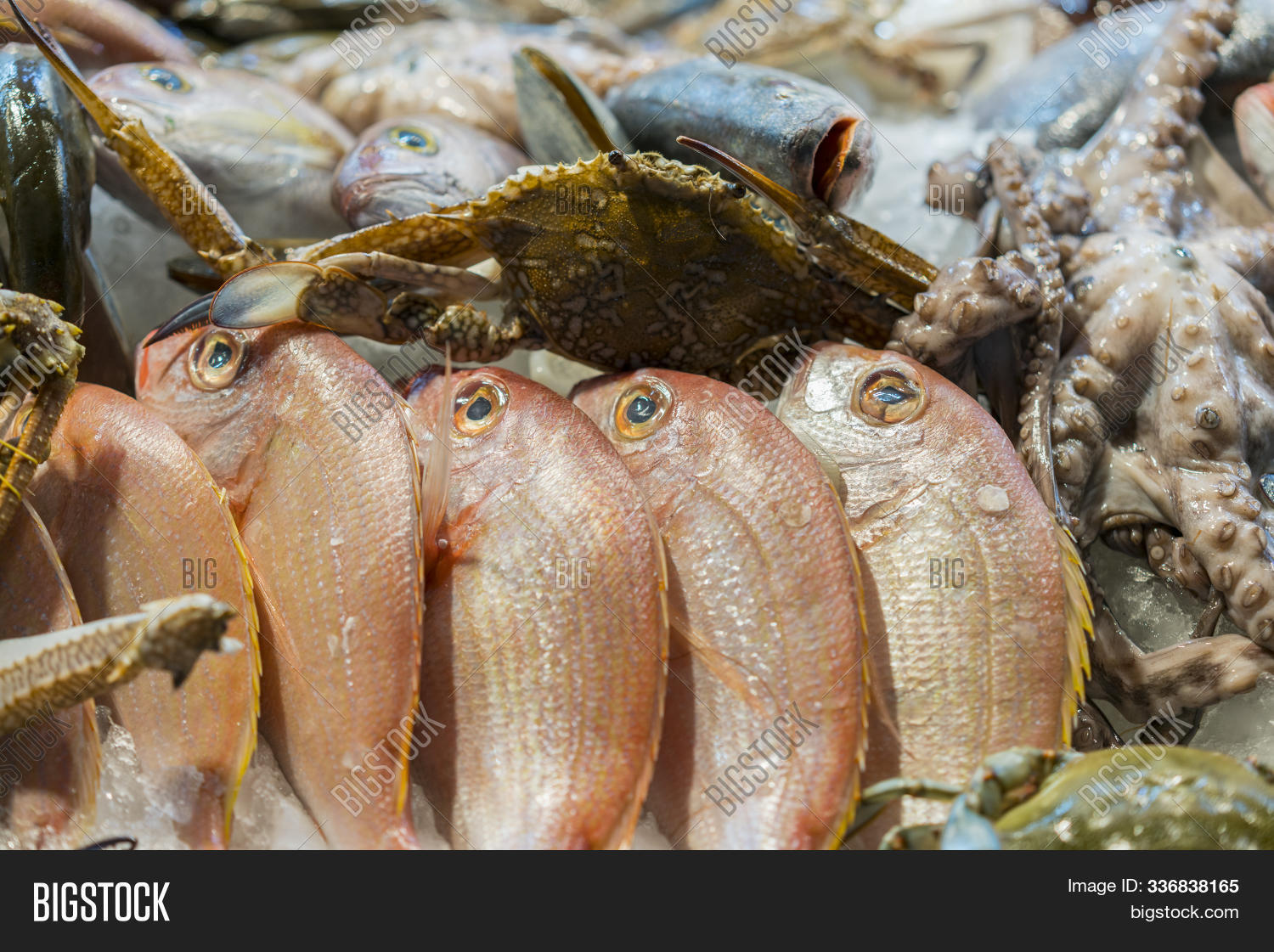 Seafood On Display. Image & Photo (Free Trial) | Bigstock