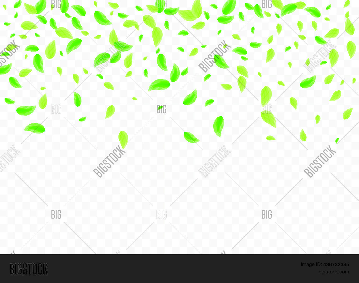 Light Green Sheet Vector & Photo (Free Trial) | Bigstock