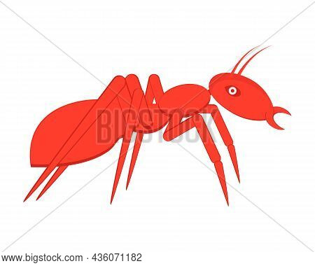 เวกเตอร์และภาพถ่าย (ทดลองใช้ฟรี) | Bigstock
