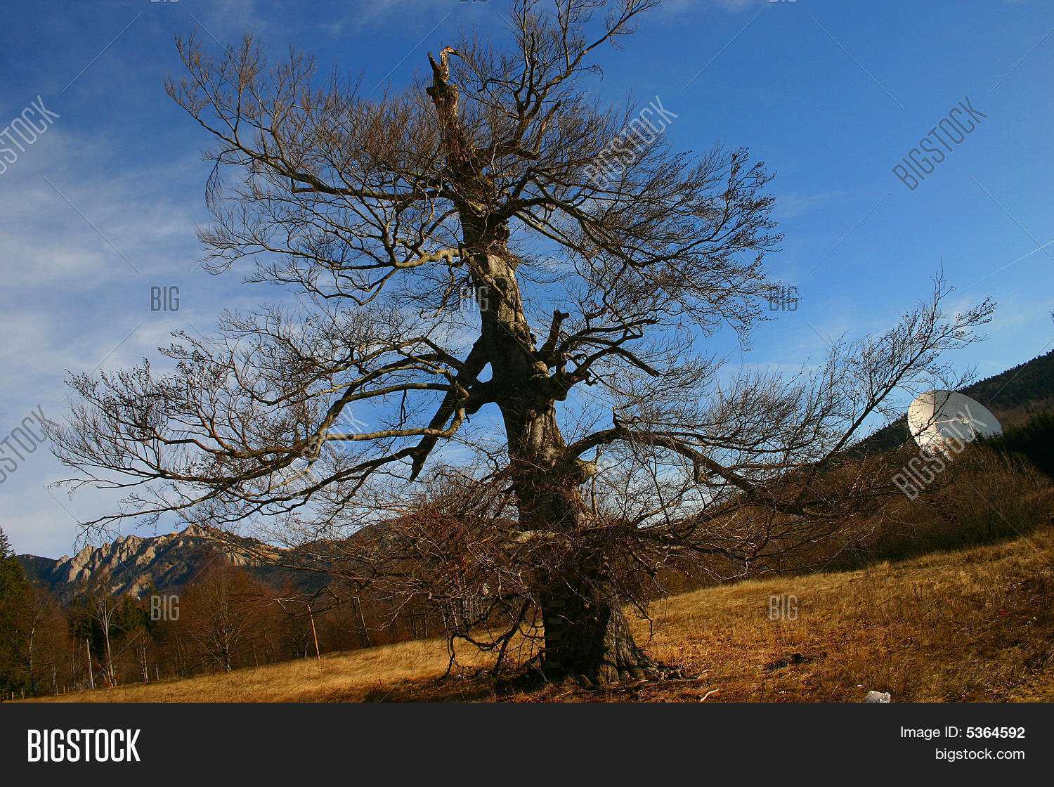 Radiation Effects Image & Photo (Free Trial) | Bigstock