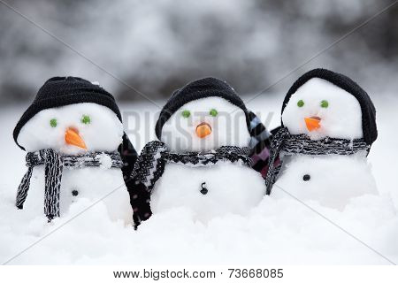 Three Little Snowmen Image & Photo (Free Trial) | Bigstock