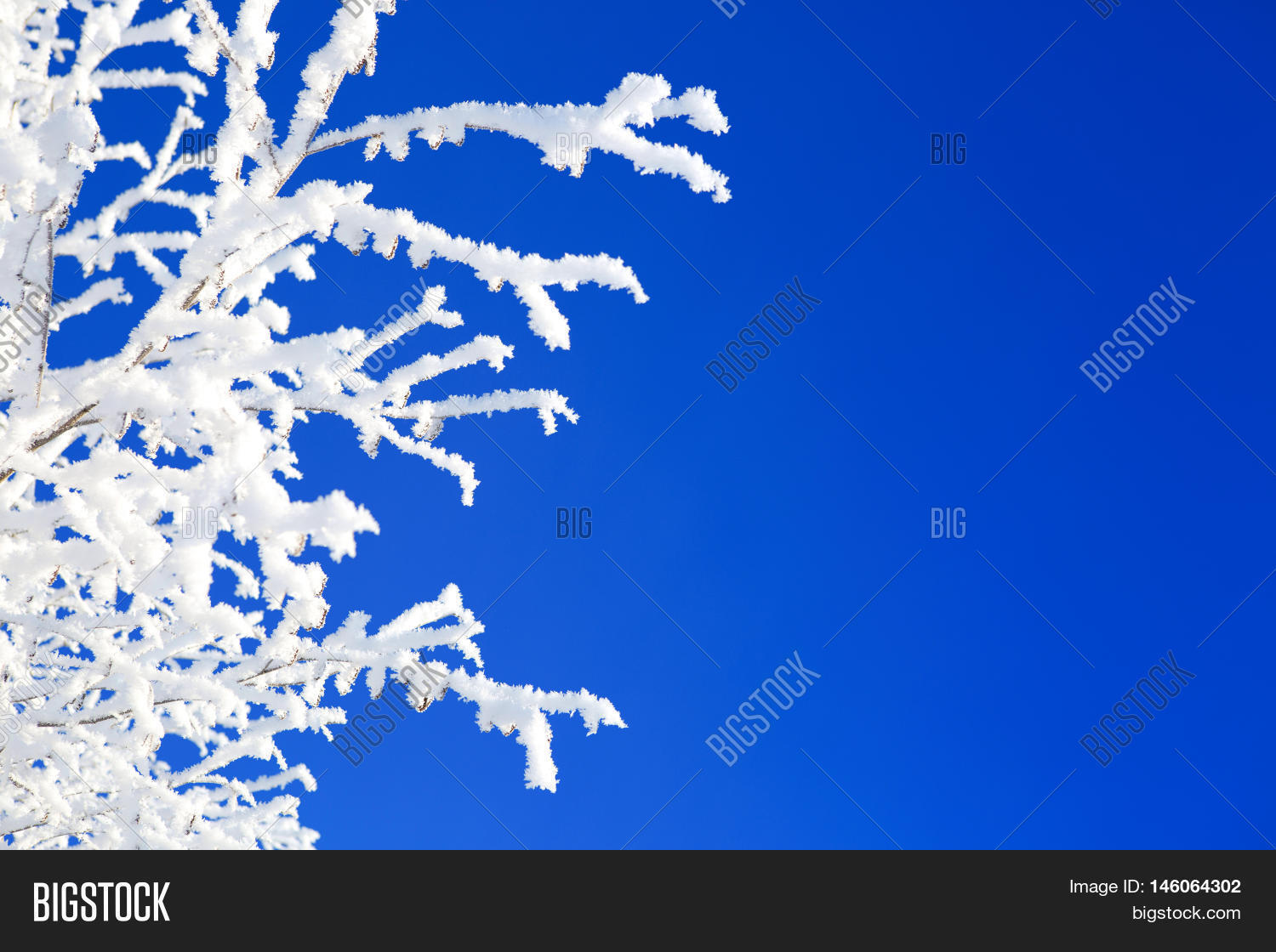 Winter Landscape Frost Image & Photo (Free Trial) | Bigstock