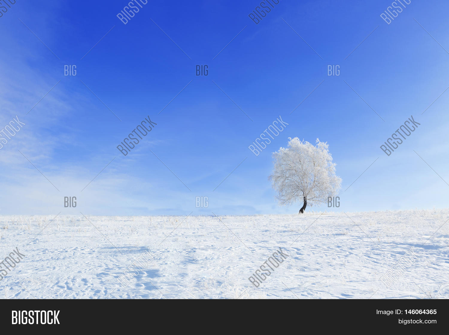 Alone Winter Tree Image & Photo (Free Trial) | Bigstock
