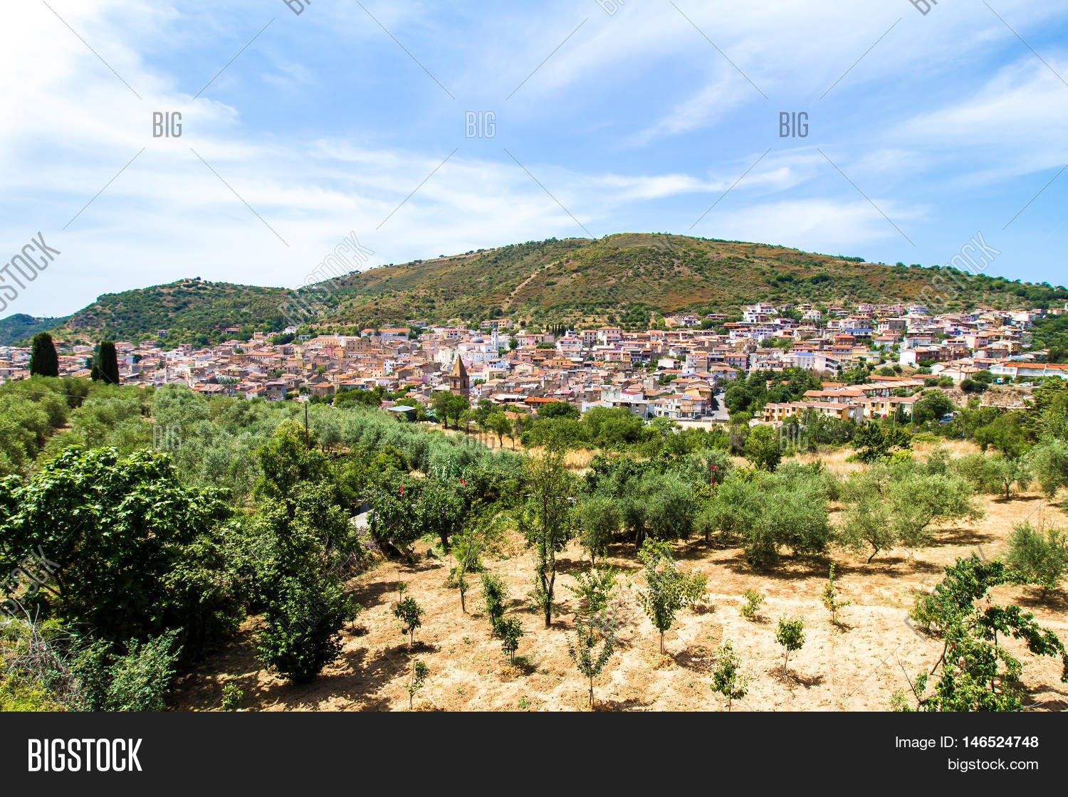 View Orani Small Image & Photo (Free Trial) | Bigstock