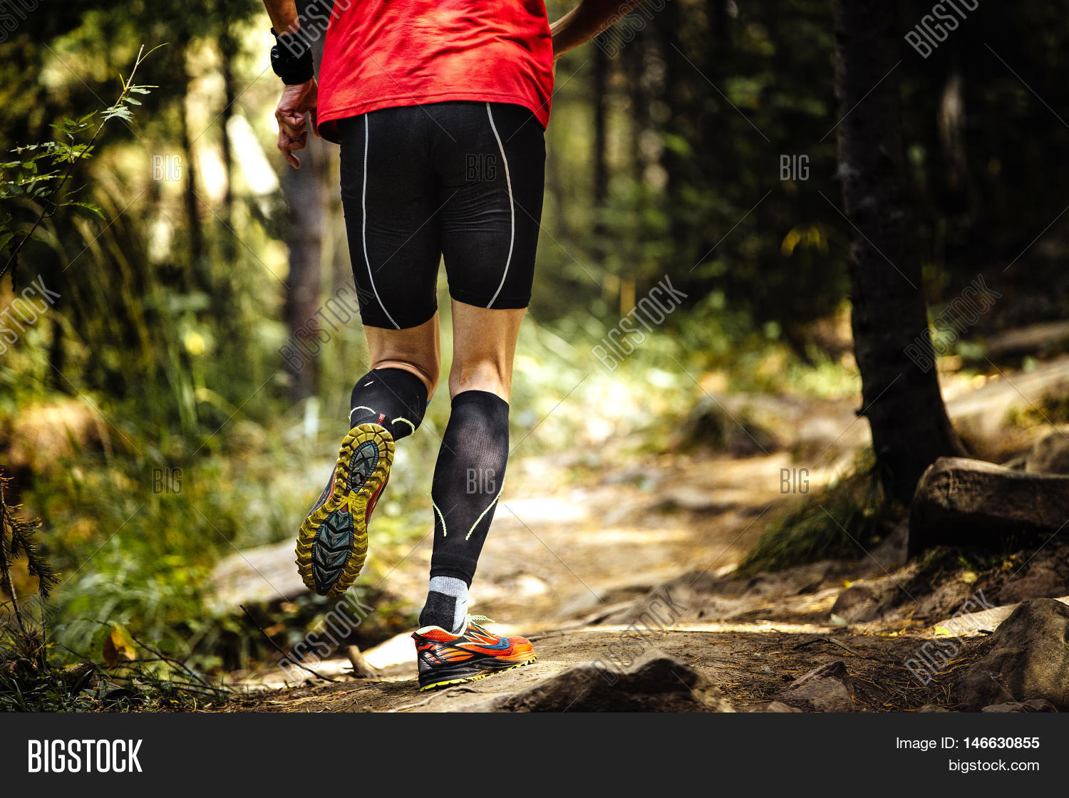 View Back Marathon Image & Photo (Free Trial) | Bigstock