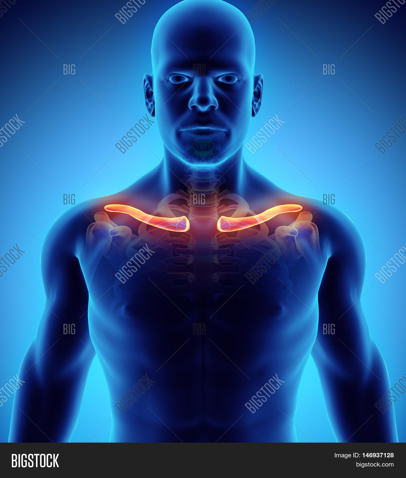 3D Illustration Image & Photo (Free Trial) | Bigstock