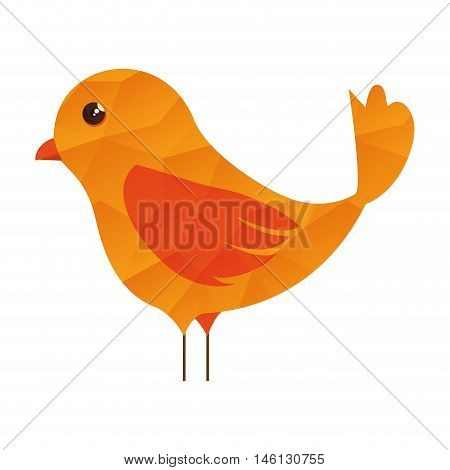 Bird Cartoon Colorful Vector & Photo (Free Trial) | Bigstock